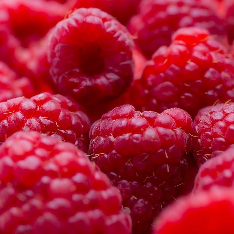 Buy Online Nova Red Raspberry Fruit Plants For Your Home & Garden ...